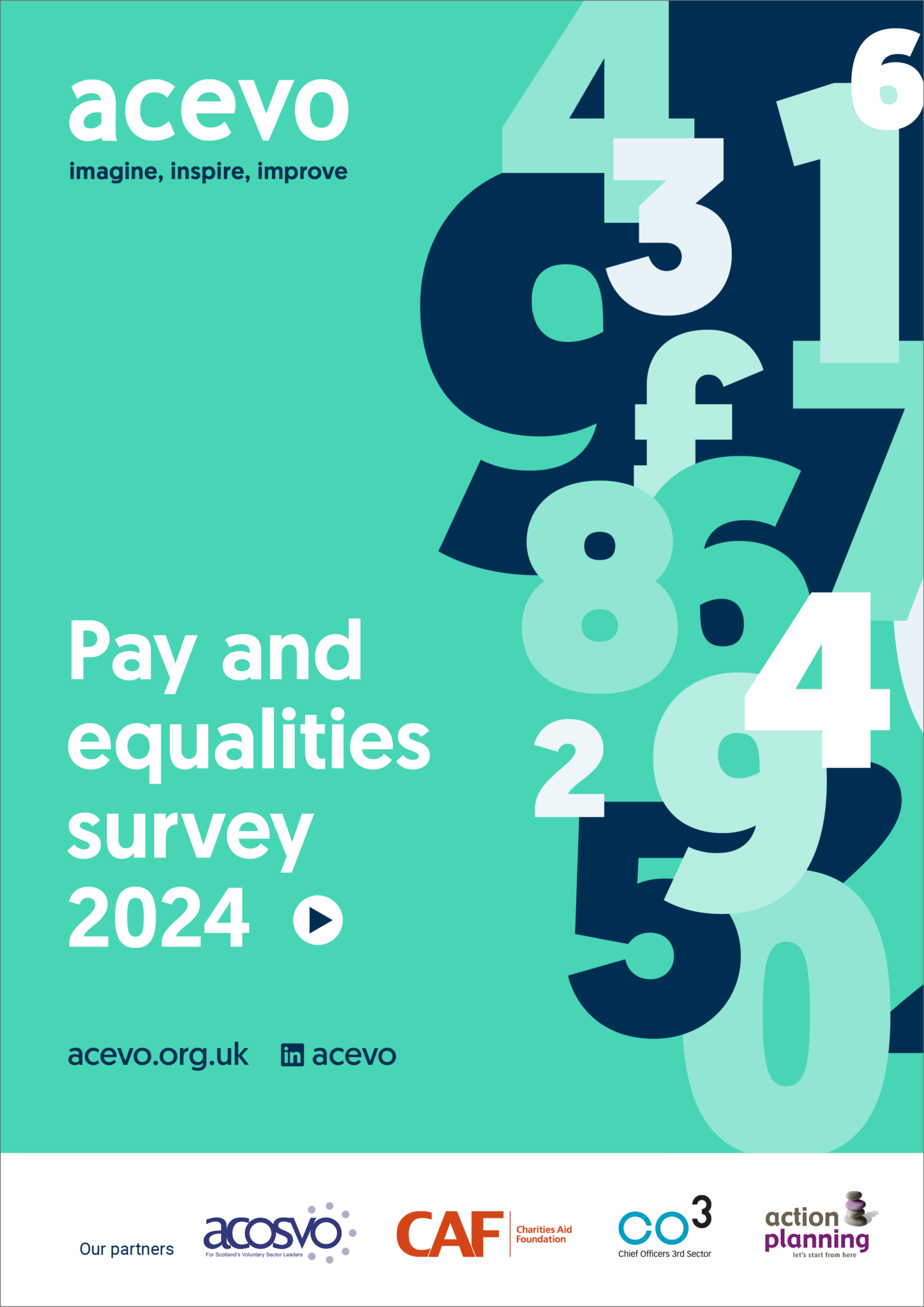 Pay and Equalities Survey 2024